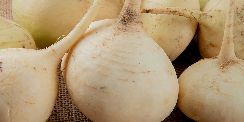 Lekovitost rotkve | Batajnica